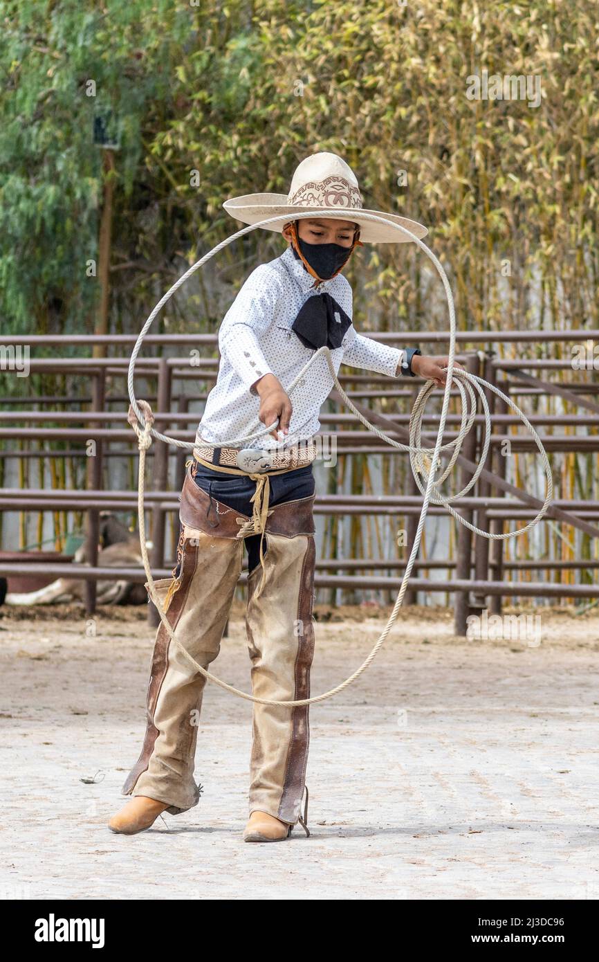 A Young Mexican boy wearing a charro outfit, shows off his roping ...
