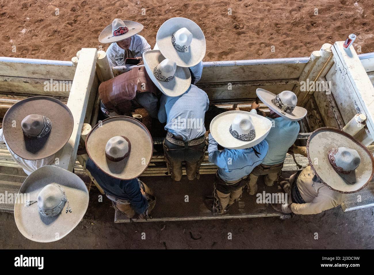 Bareback bronc riding hi-res stock photography and images - Alamy