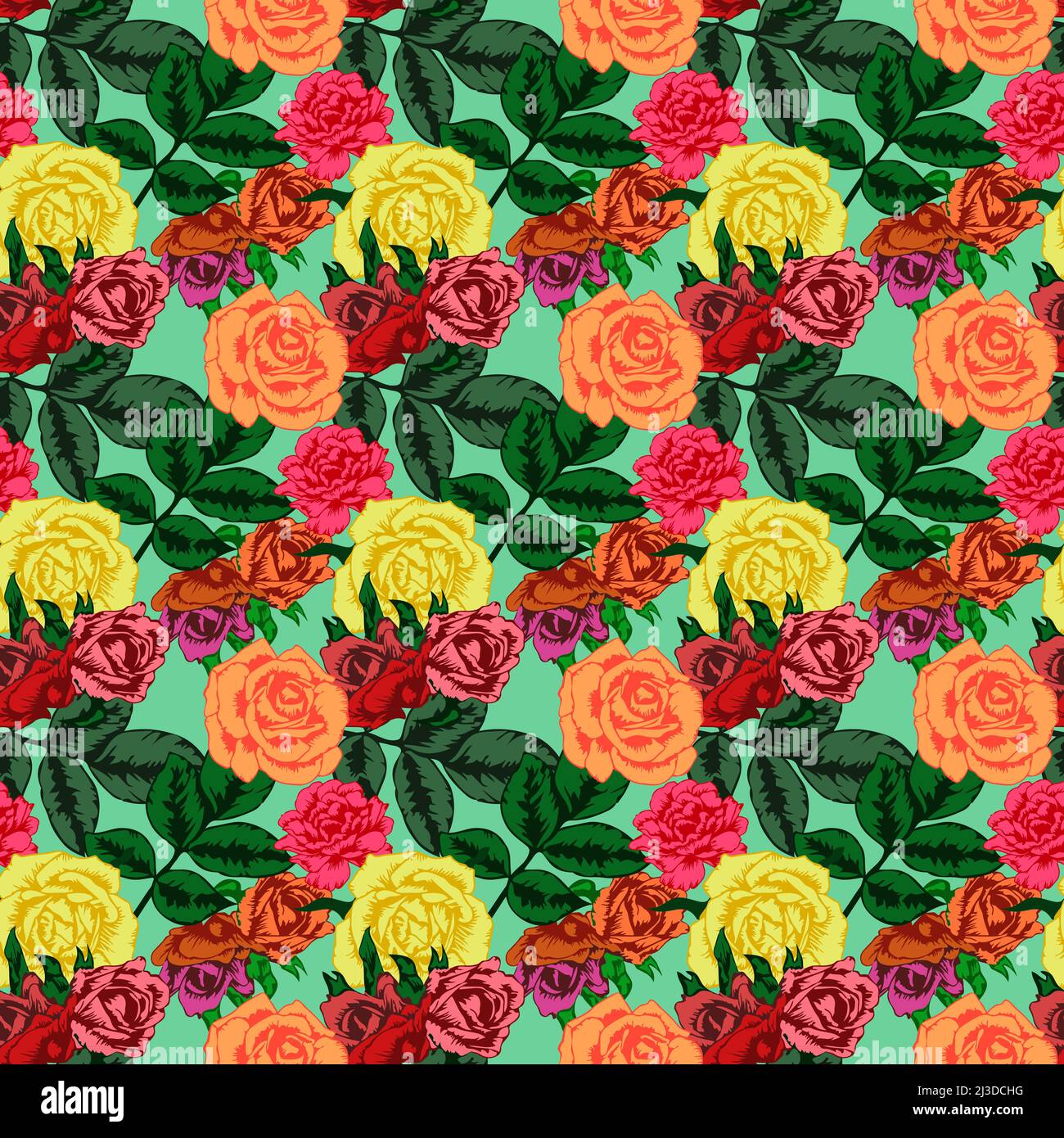 Garden roses vector vectors hi-res stock photography and images - Alamy