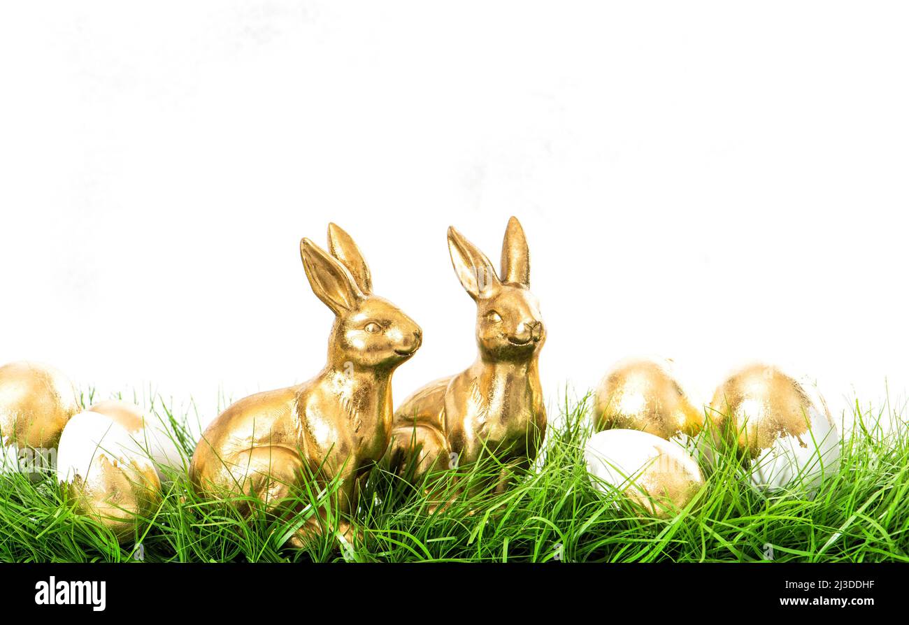 Easter bunnies with golden eggs in green grass on white background ...