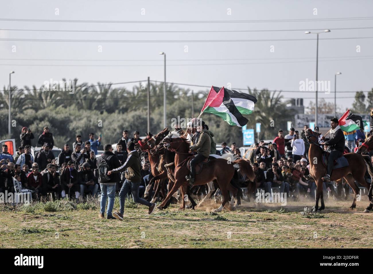 Palestinian Bedouins on horses and camels as they participate in a ...