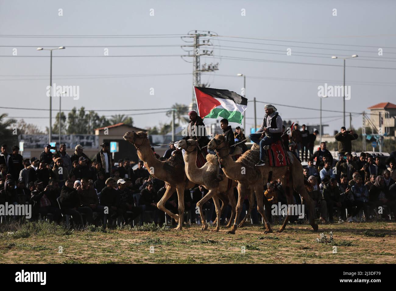 Palestinian Bedouins on horses and camels as they participate in a ...