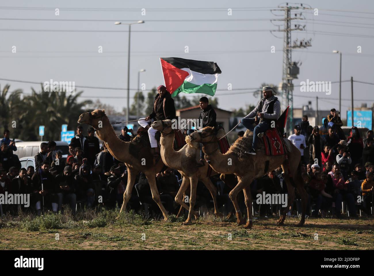Palestinian Bedouins on horses and camels as they participate in a ...