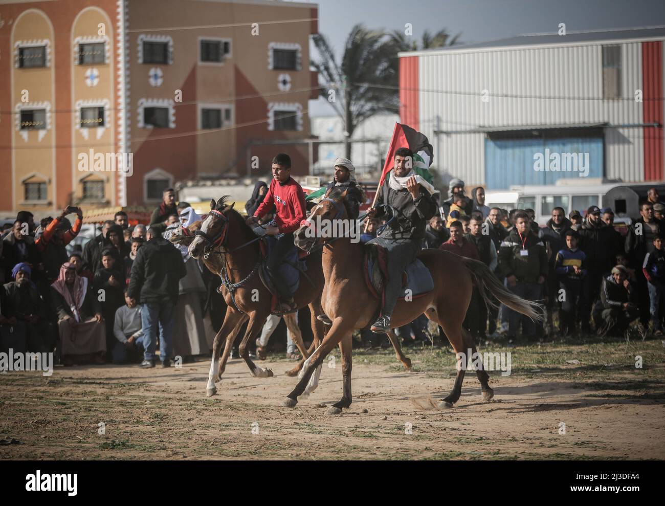Palestinian Bedouins on horses and camels as they participate in a ...
