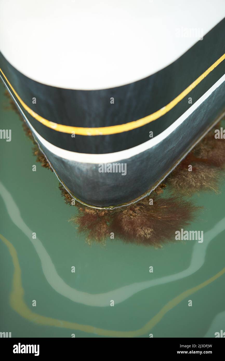 Mollusks, overgrown ship bottom. Shellfish on the hull of the ship ...