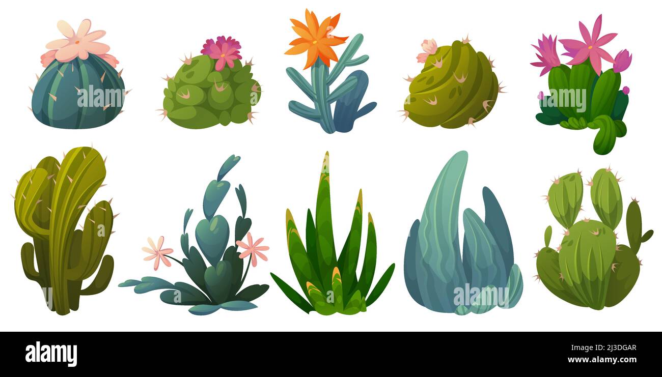 Cute cactuses, succulents and desert plants with flowers isolated on ...