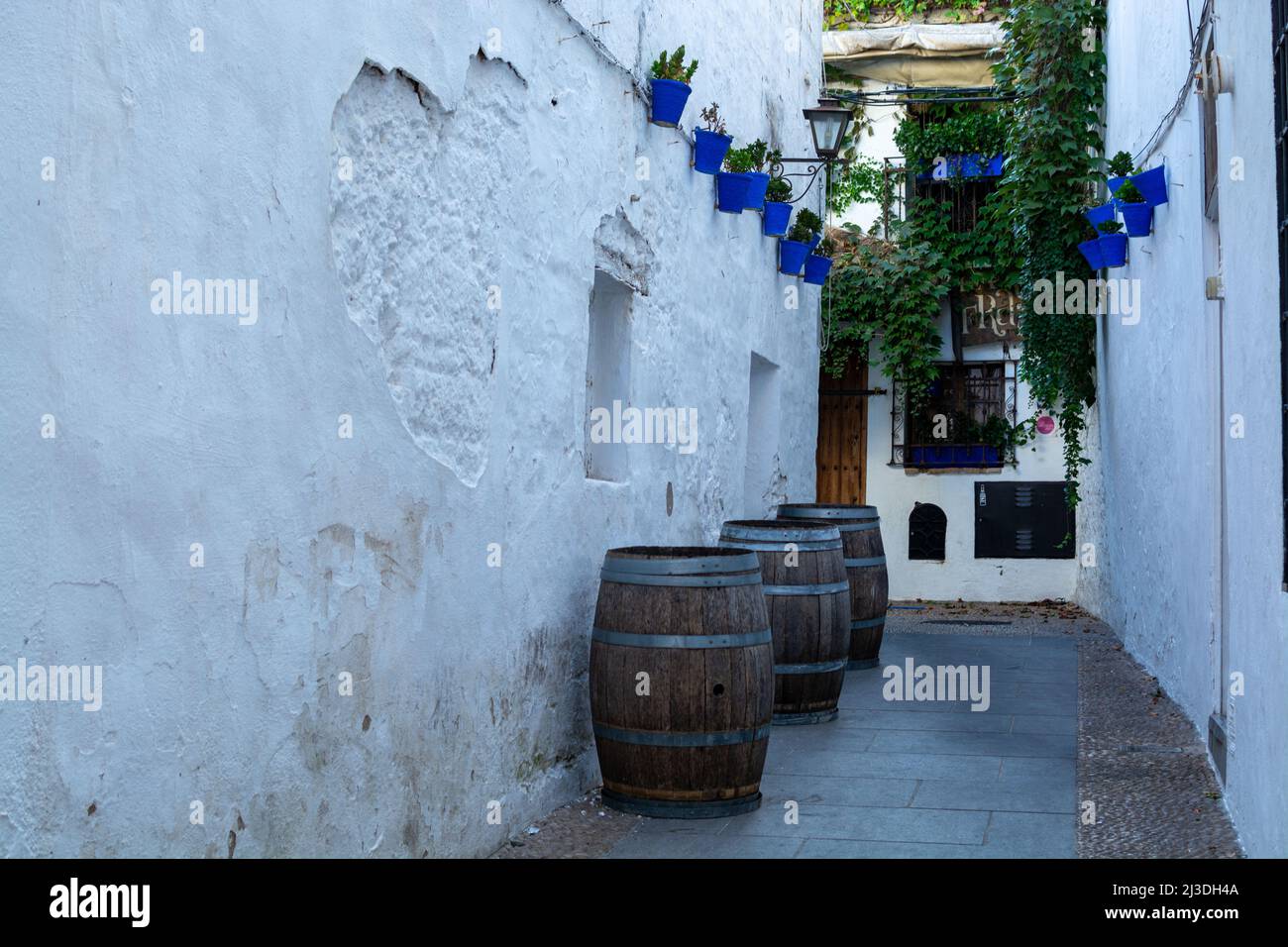 View on old part of Cordoba, San Basilio quarter with white houses and ...