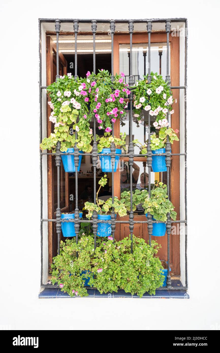 View on old part of Cordoba, San Basilio quarter with white houses and ...