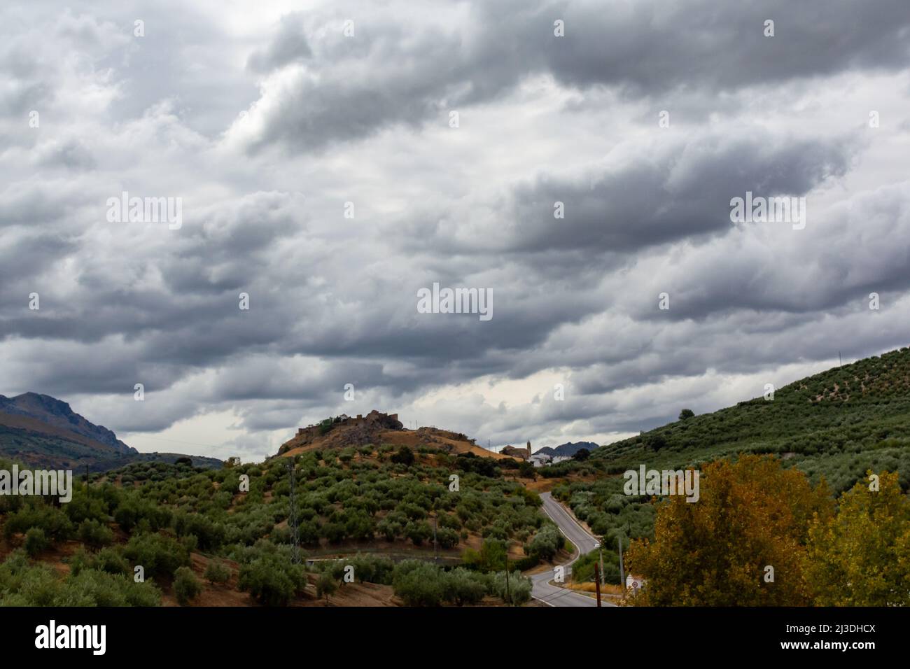 Andalusian landscape with yellow hills and green olive trees ...