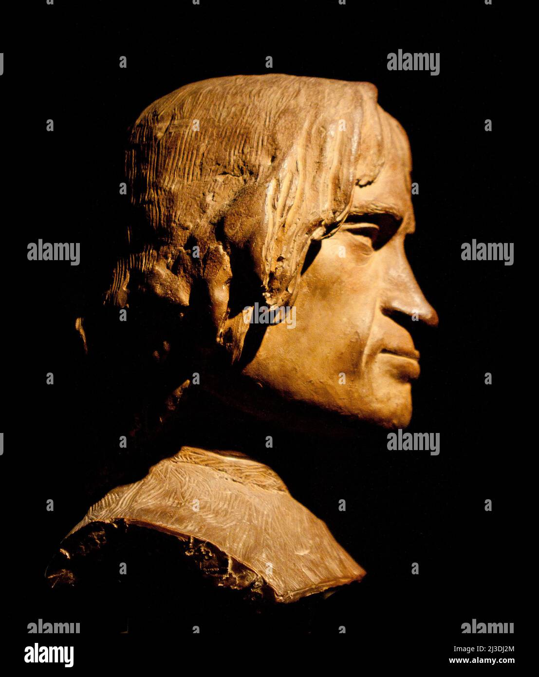 Cast Terracotta Portrait Bust of Lorenzo de' Medici ('The Magnificent ...