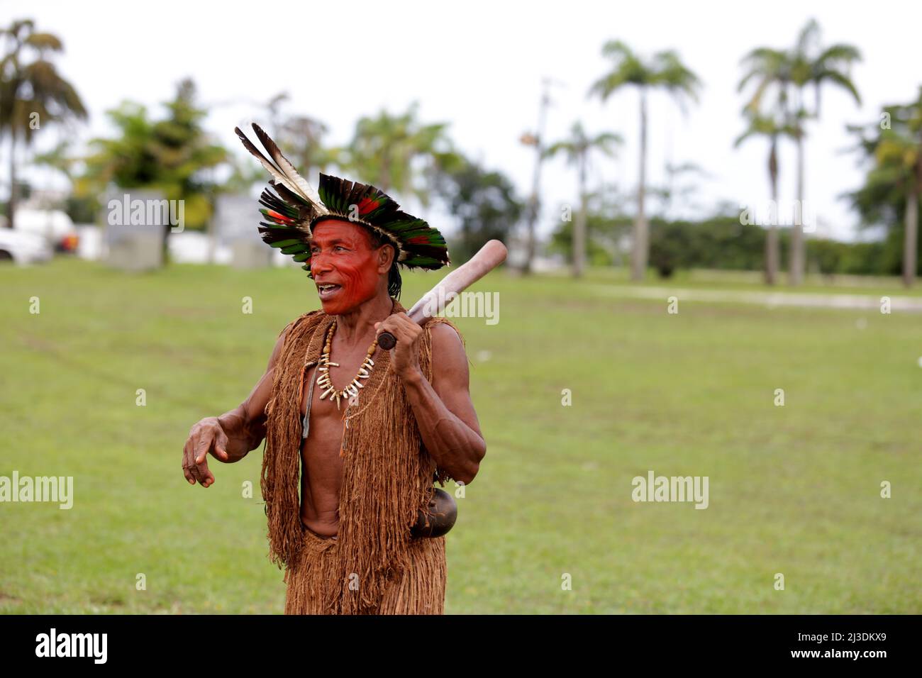 salvador, bahia, brazil - may 29, 2017: Indians from various indigenous ...