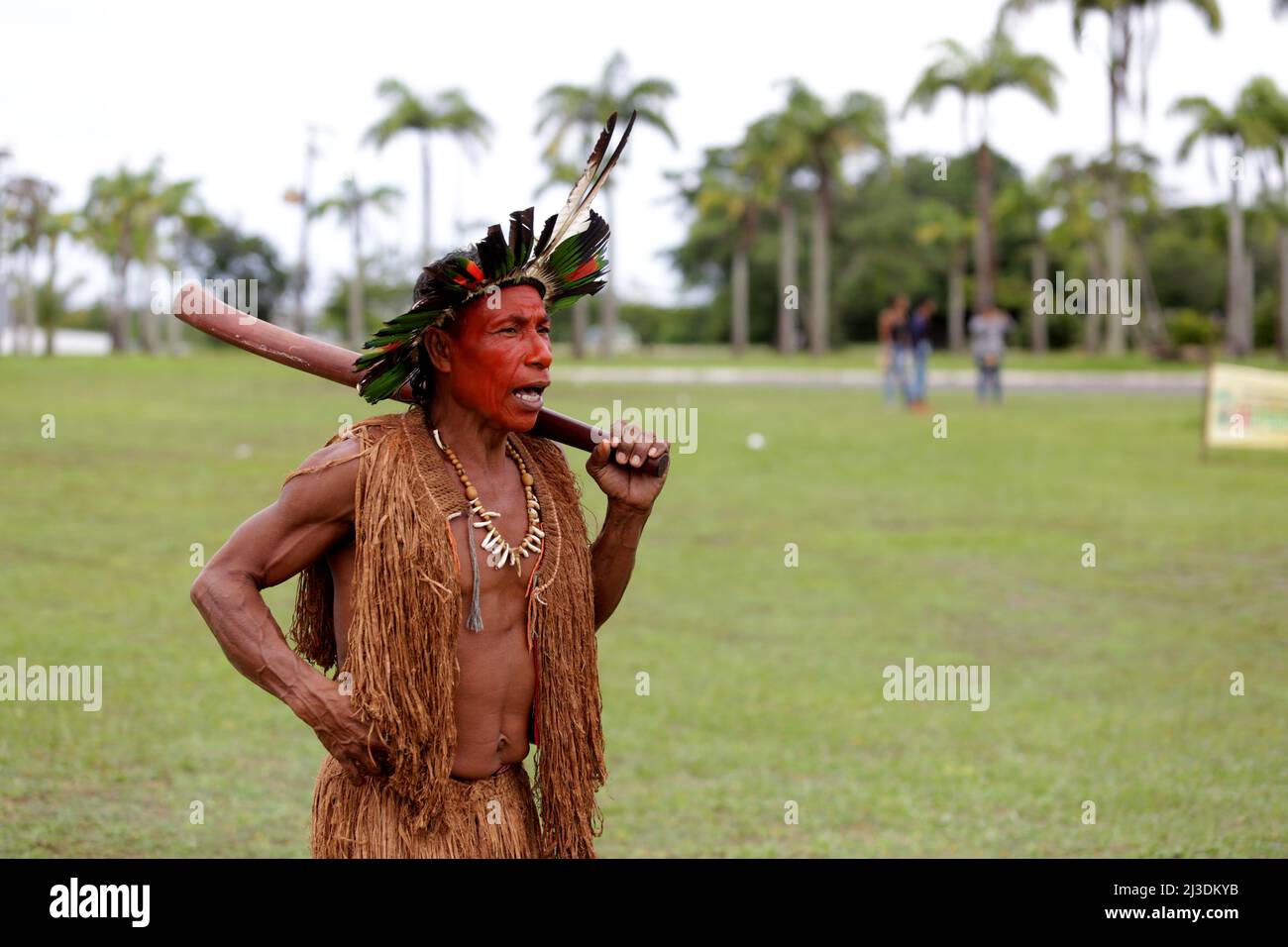salvador, bahia, brazil - may 29, 2017: Indians from various indigenous ...
