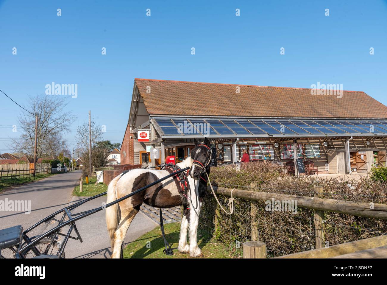 New forest village ponies hi-res stock photography and images - Alamy