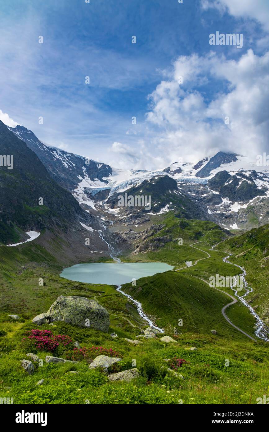 Typical alpine landscape of Swiss Alps with Steinsee, Urner Alps ...