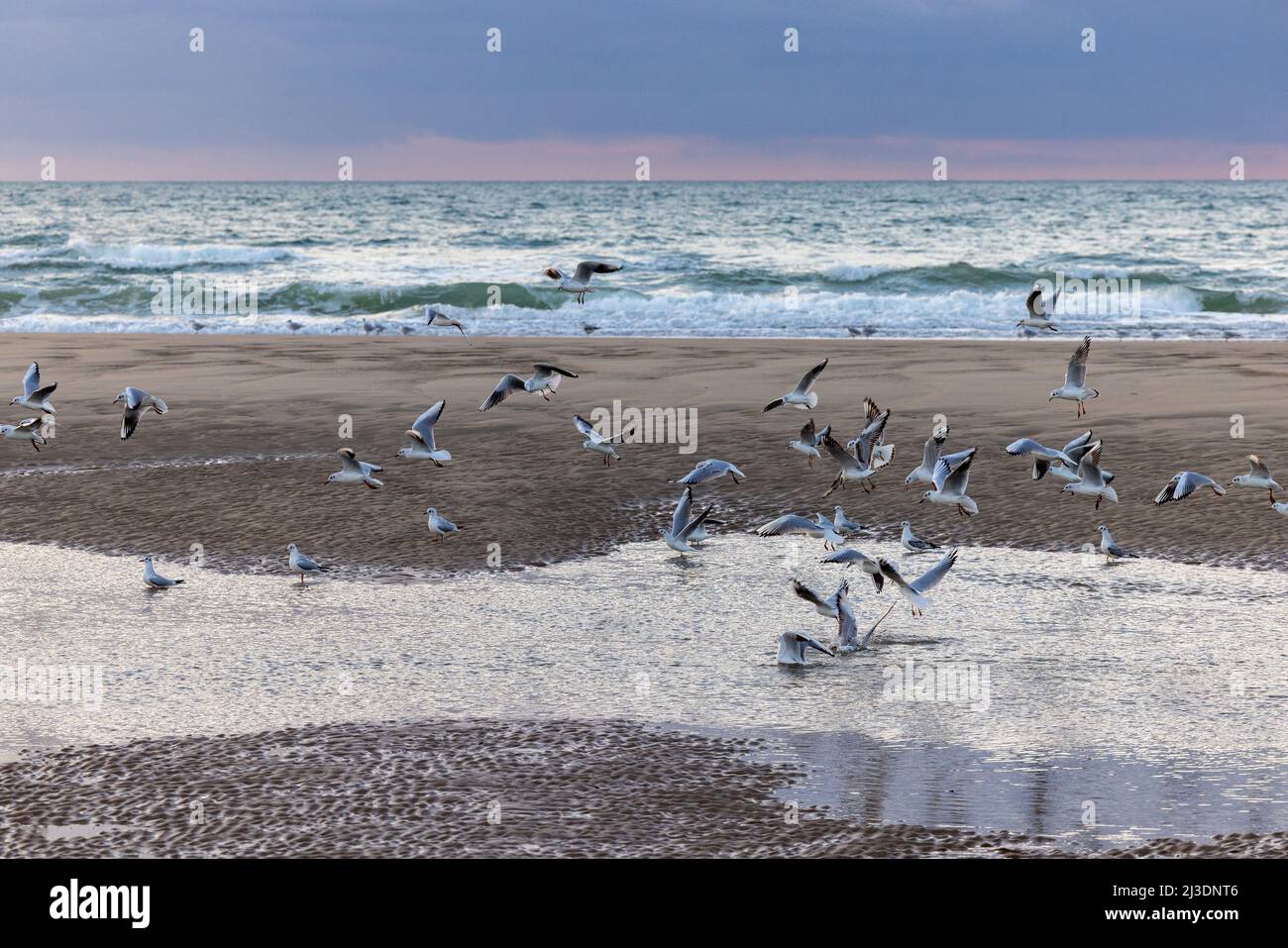 Beutiful beach hi-res stock photography and images - Alamy