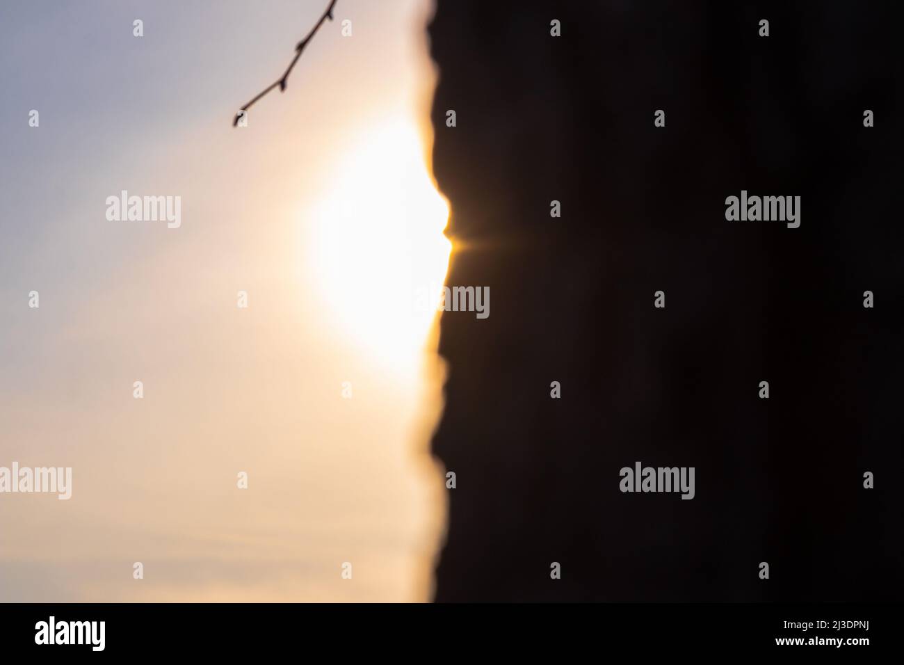 look to tree silhouette with sun behind it and sun rays showing from ...