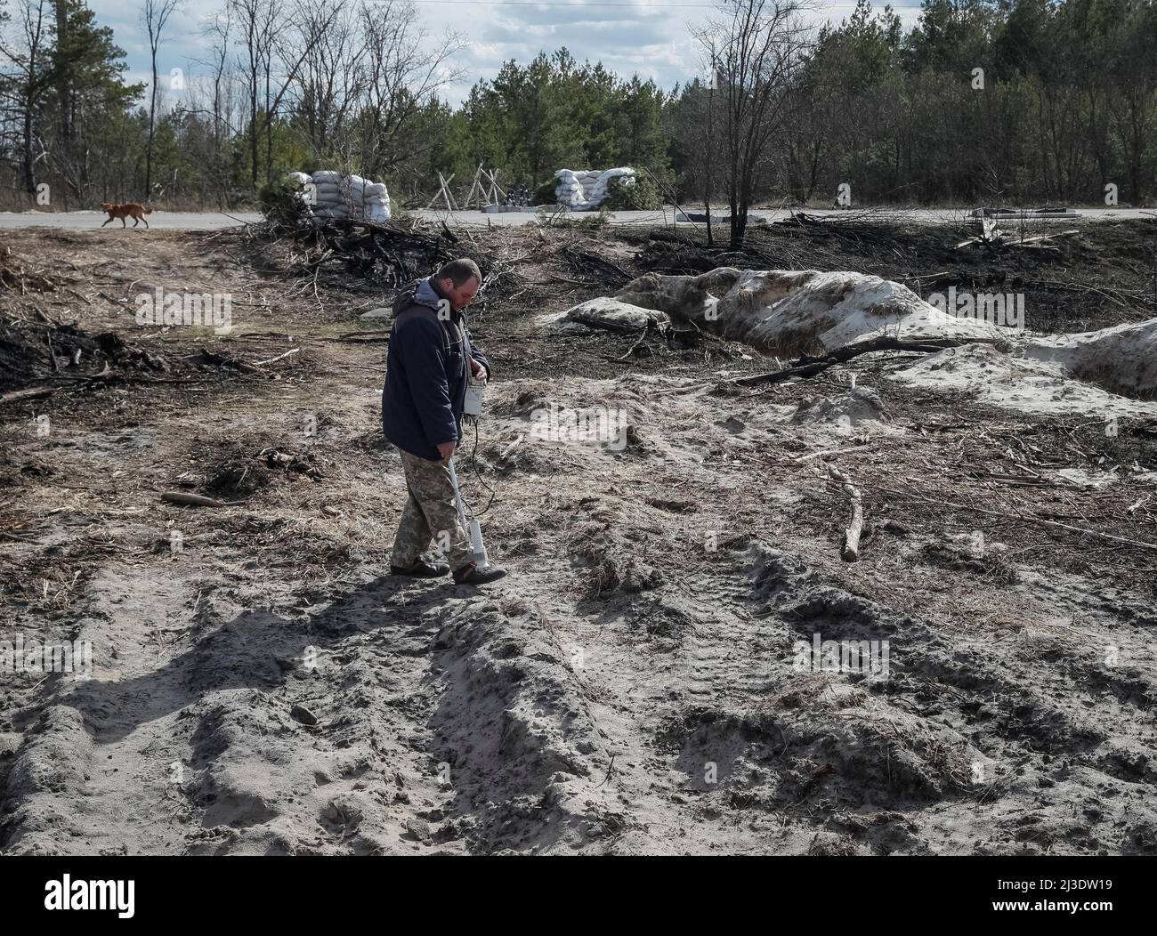 Red forest chernobyl High Resolution Stock Photography and Images - Alamy