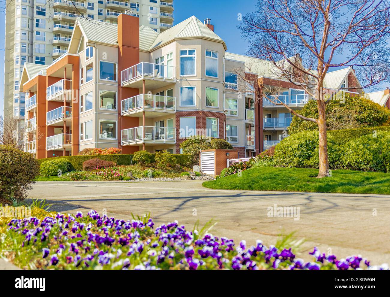 Neighborhood modern houses with spring flowers in New Westminster BC ...