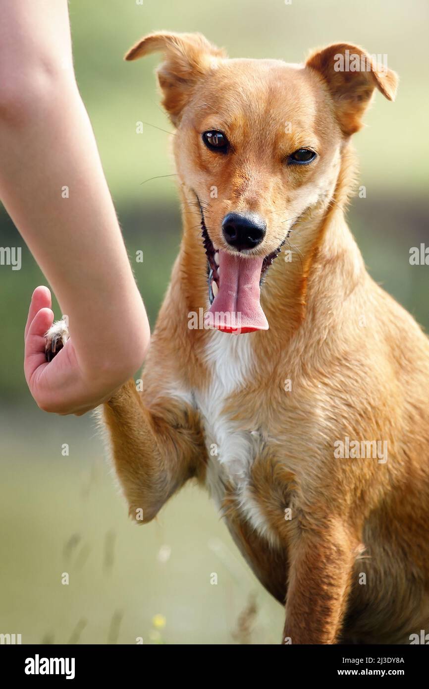 Teeth tongue hi-res stock photography and images - Alamy