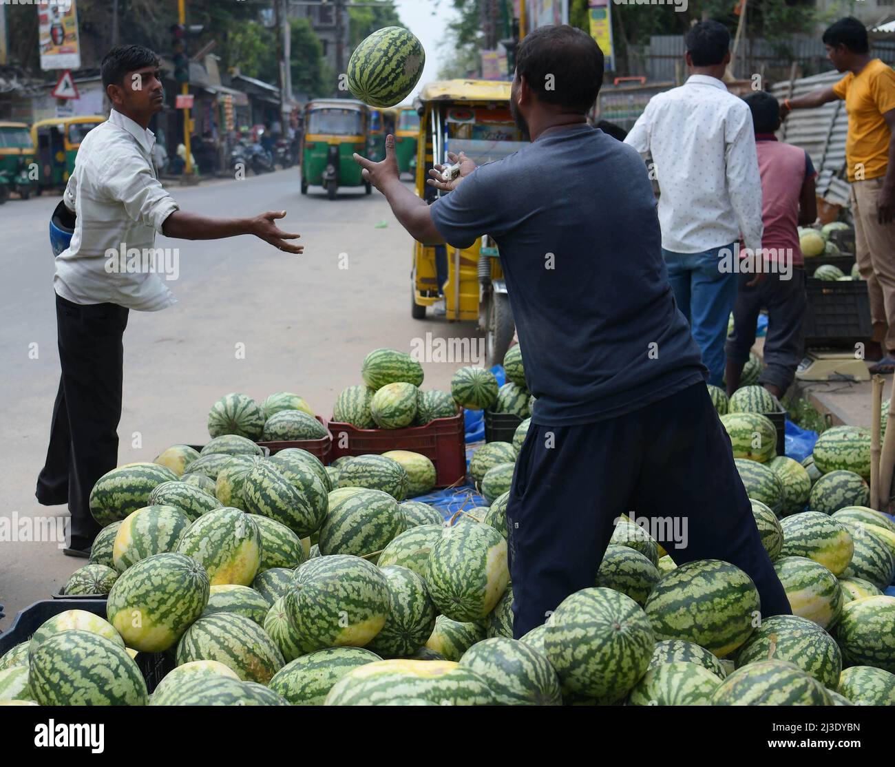 Vendors sell watermelons at a roadside fruit shop in Agartala. Tripura, India Stock Photo - Alamy