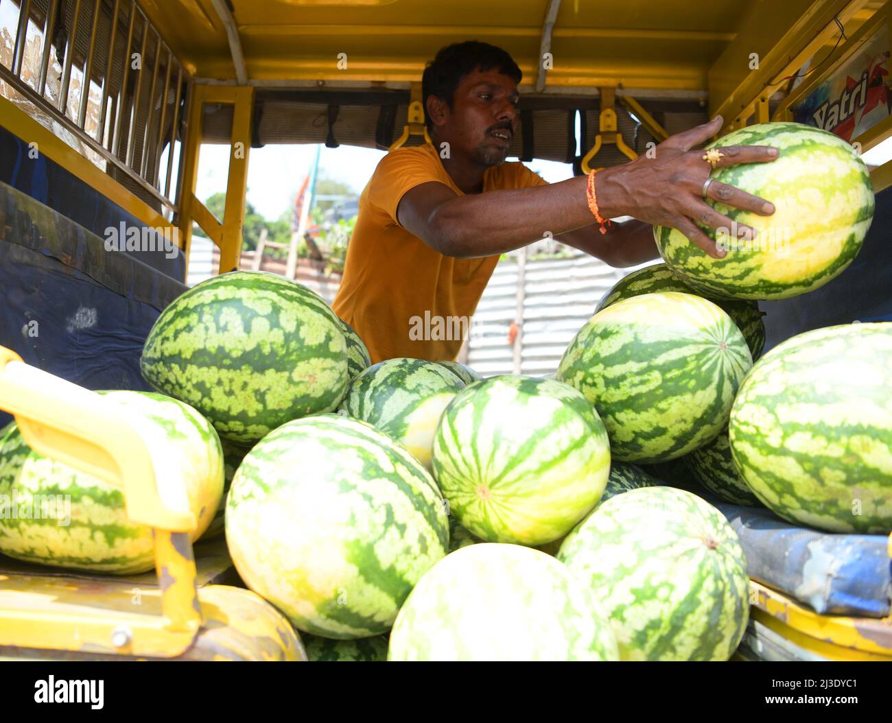 Vendors sell watermelons at a roadside fruit shop in Agartala. Tripura, India Stock Photo - Alamy