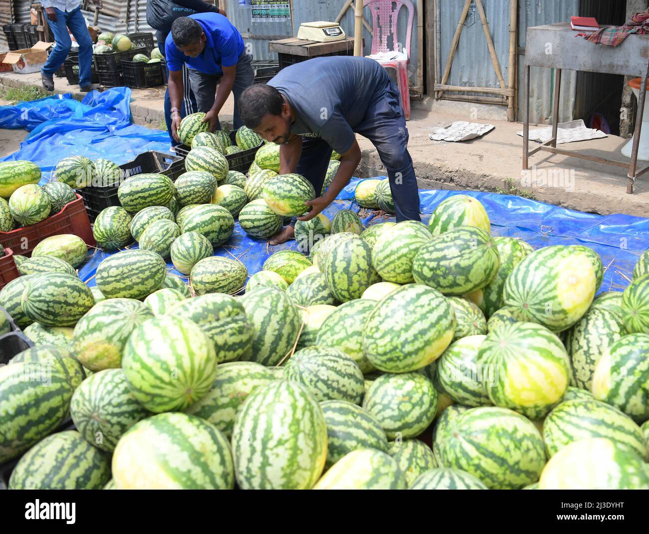 Vendors sell watermelons at a roadside fruit shop in Agartala. Tripura, India Stock Photo - Alamy