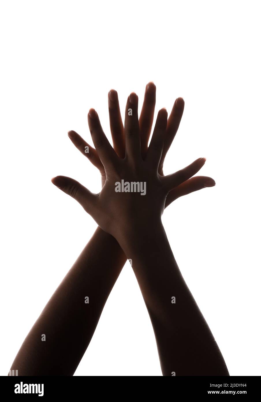 Silhouette of female hands isolated on white Stock Photo - Alamy