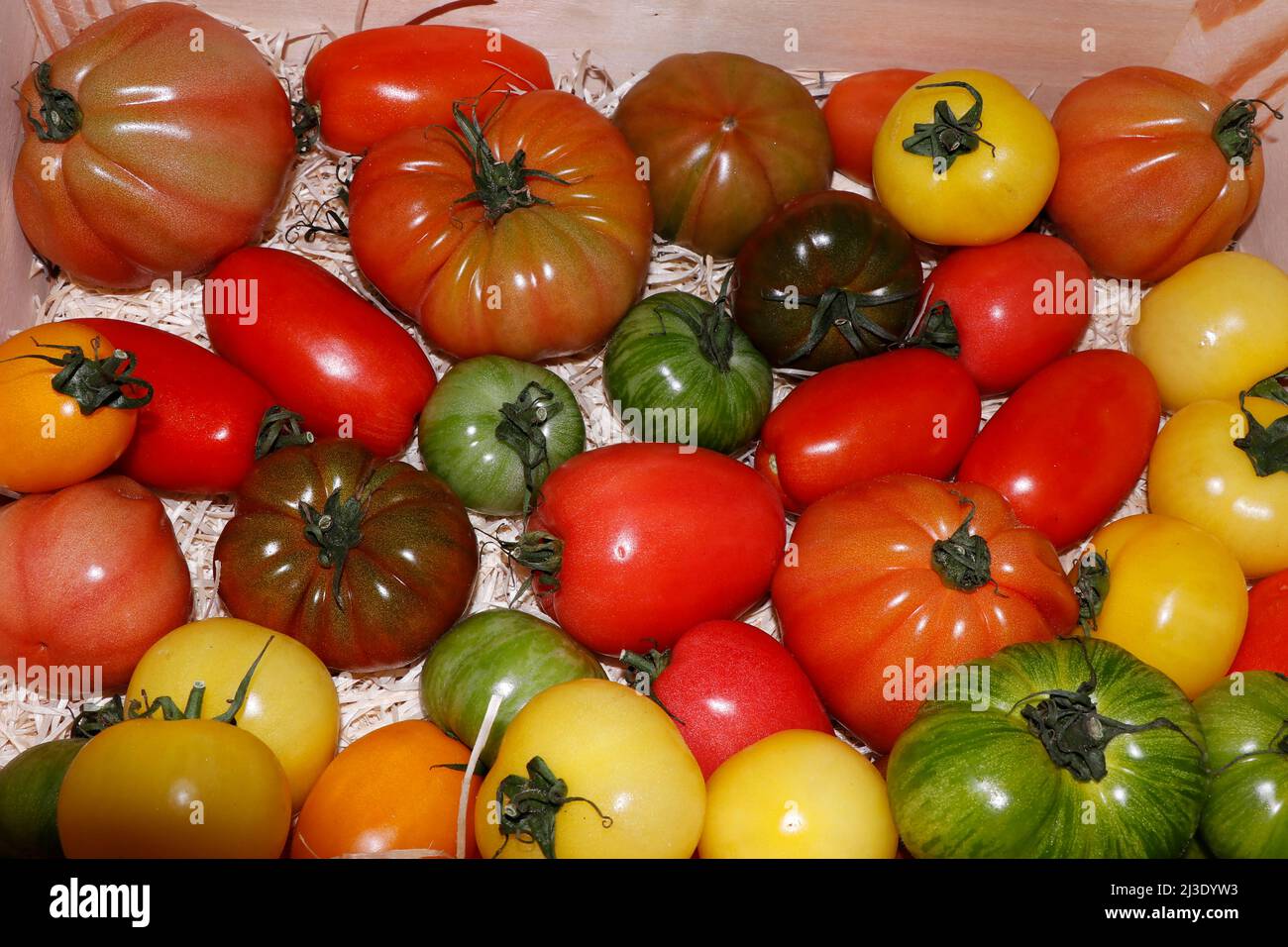 Tomatos in box hi-res stock photography and images - Alamy