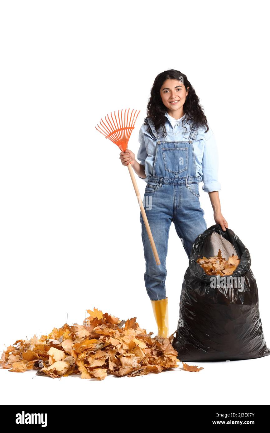 Woman gathering autumn leaves on white background Stock Photo - Alamy