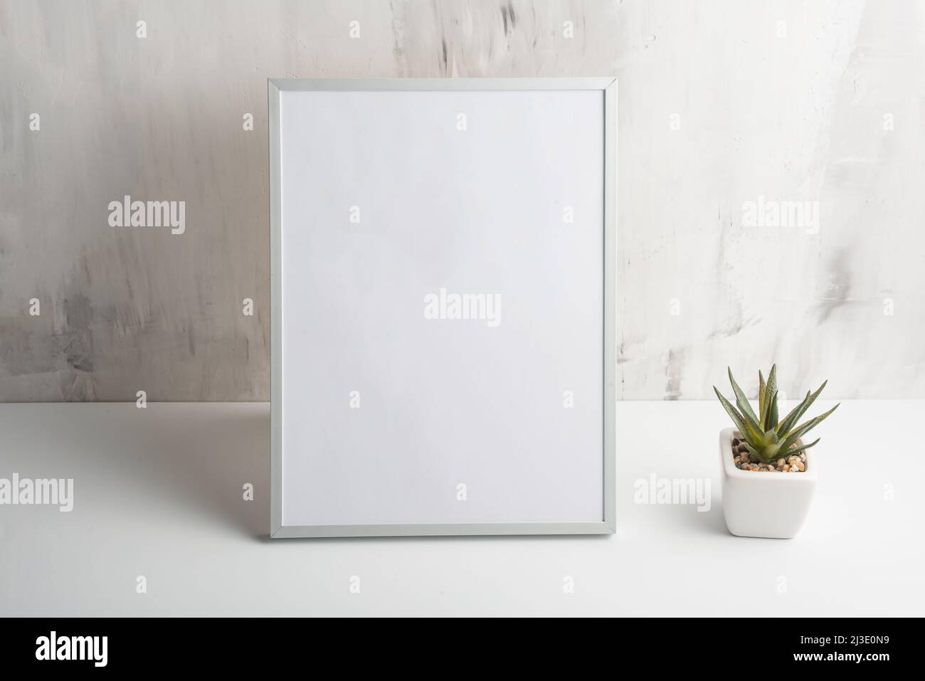 Empty white frame with flower on wall background. The concept of design ...