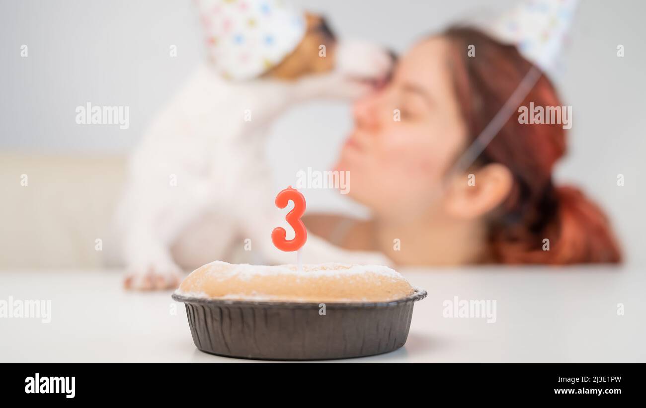Caucasian woman and jack russell terrier in holiday caps look at the ...