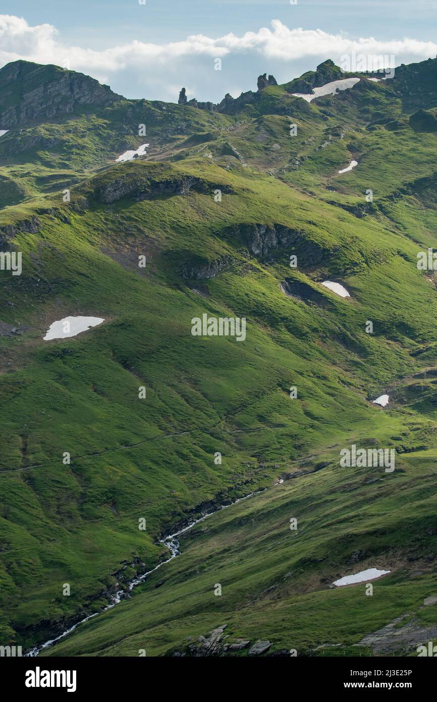 meandering alpine creek through green meadow near Grindelwald Stock ...