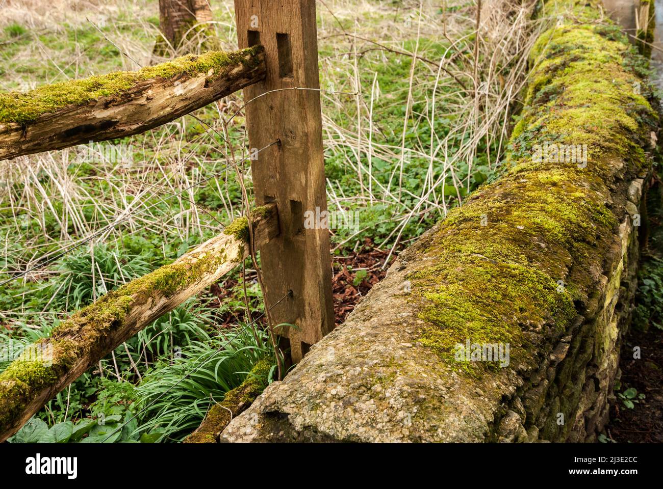 Top of old english country wall with moss Stock Photo - Alamy