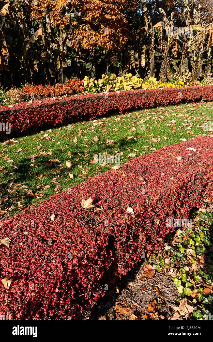 Fall colors at the Brooklyn Botanic Garden Stock Photo - Alamy