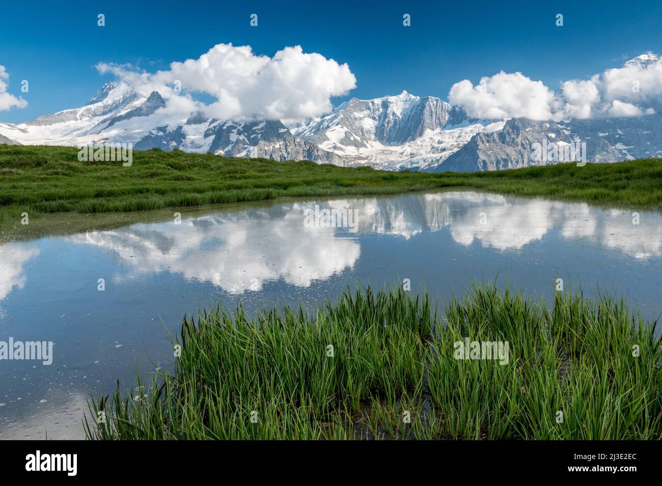 alpine pond with reflection of mountains above grindelwald Stock Photo ...