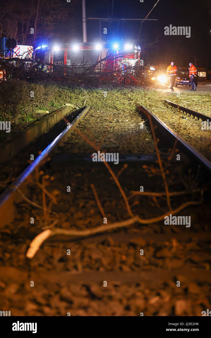 Leipzig, Germany. 07th Apr, 2022. A fallen tree blocked a streetcar ...