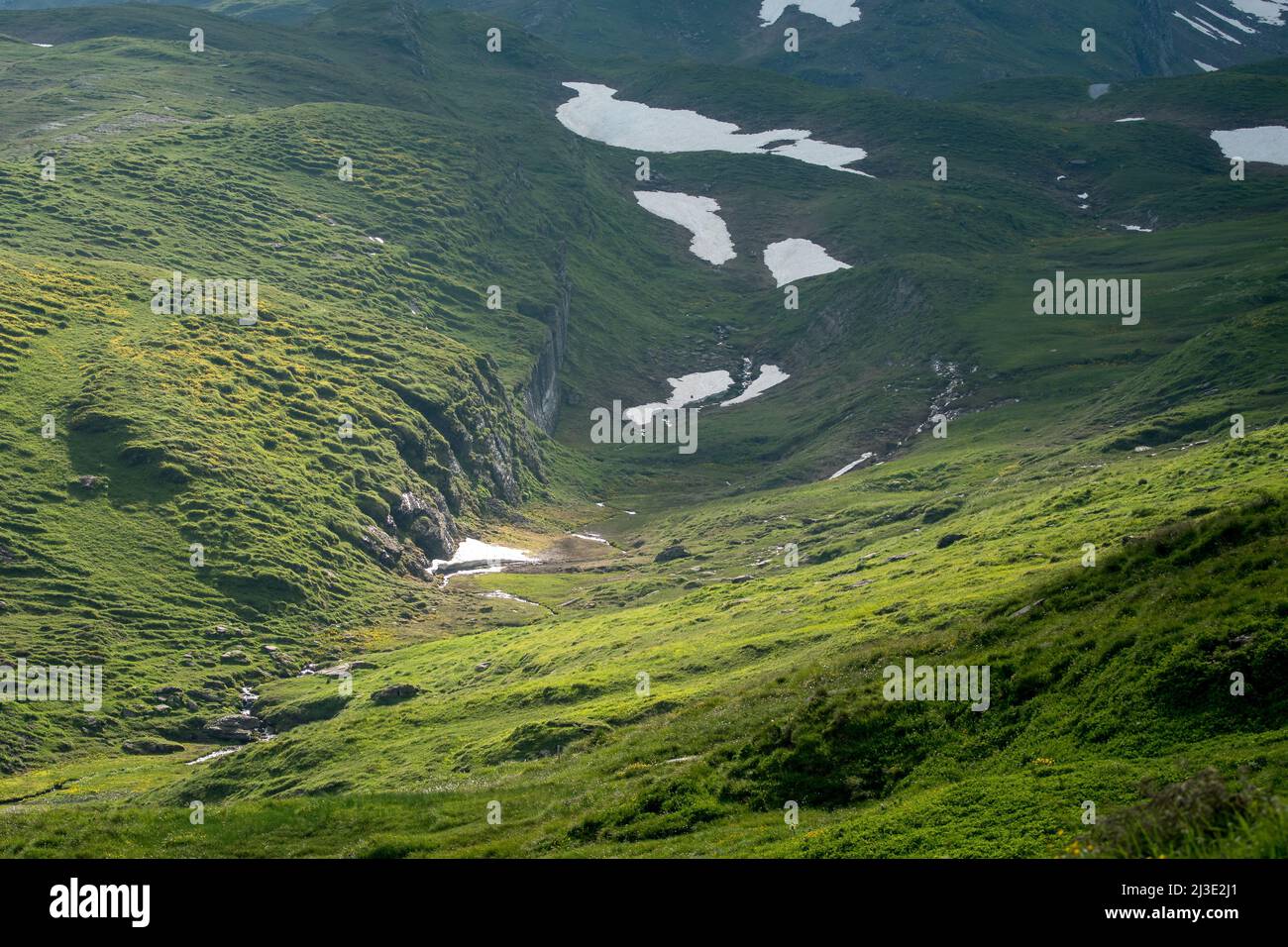 meandering alpine creek through green meadow near Grindelwald Stock ...