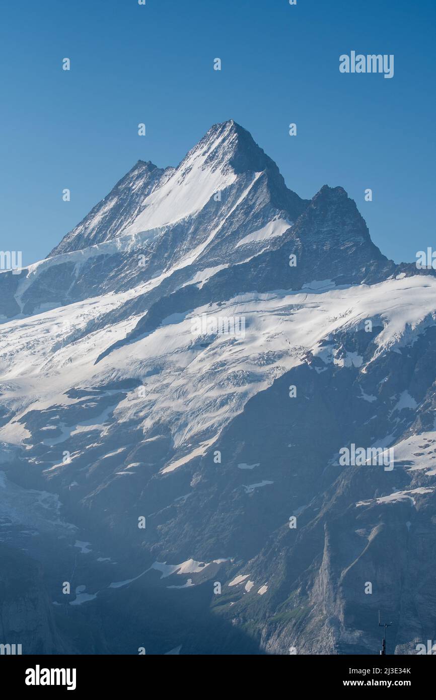 the peak of Schreckhorn in the Swiss Alps Stock Photo - Alamy