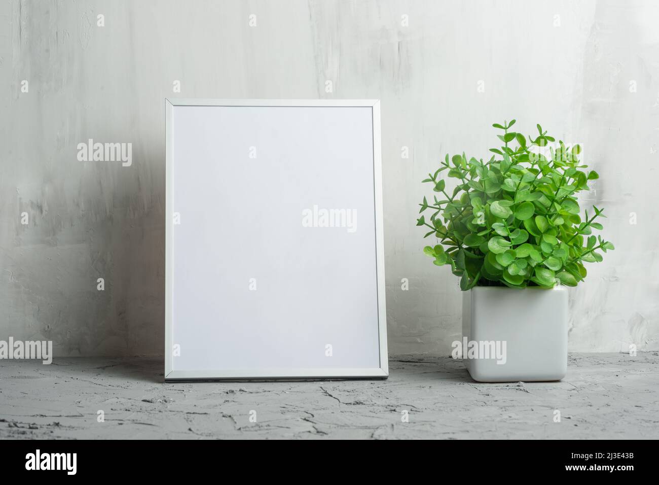 Empty white frame with flower on wall background. The concept of design ...