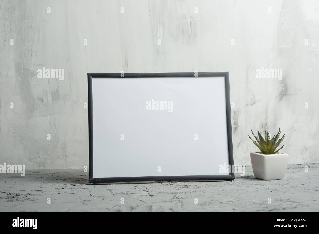 Empty white frame with flower on wall background. The concept of design ...