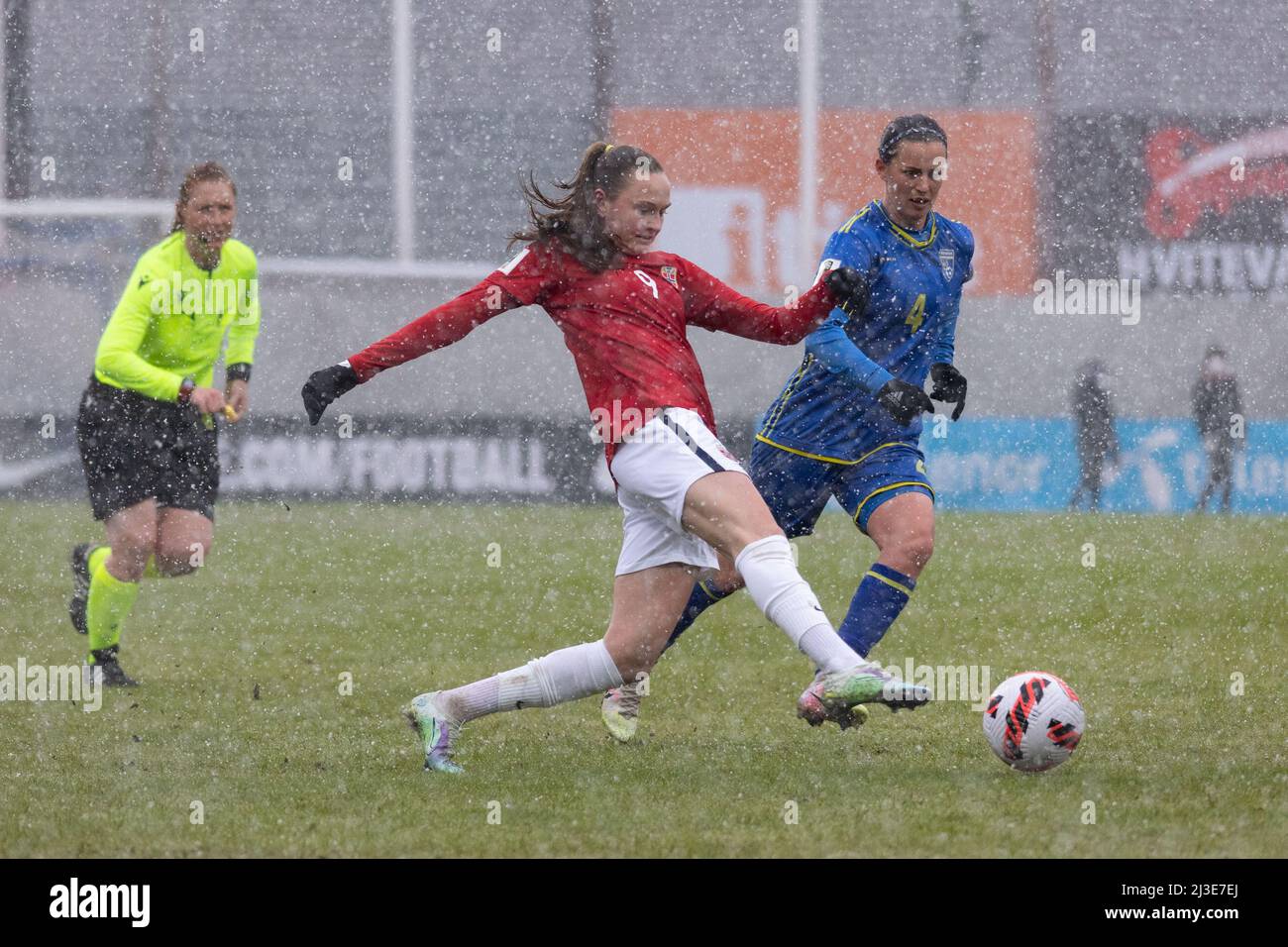 Vilde hasund hi-res stock photography and images - Alamy