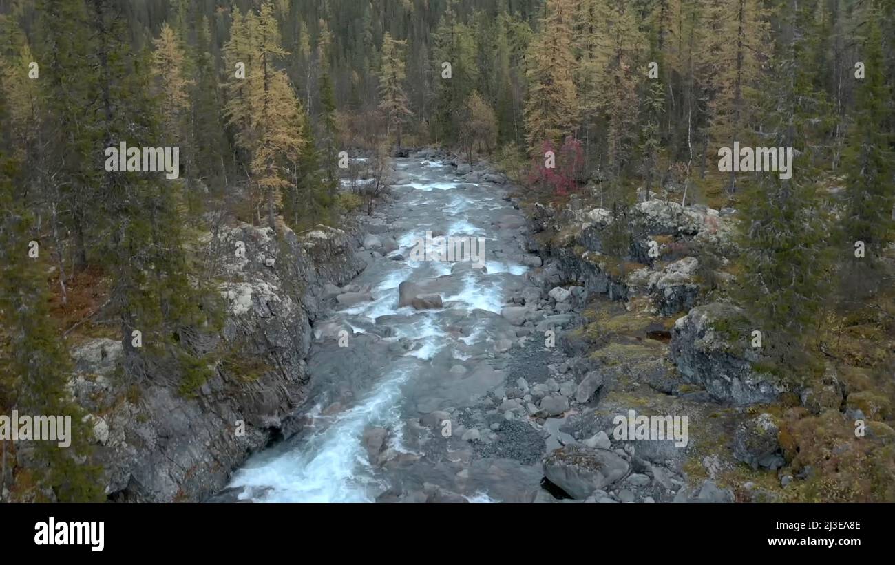 Beautiful nature from a drone. Clip. A clear river next to a forest ...