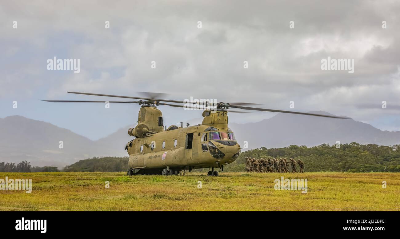 Hawaii Army National Guard Soldiers with 1st Battalion, 487th Field ...