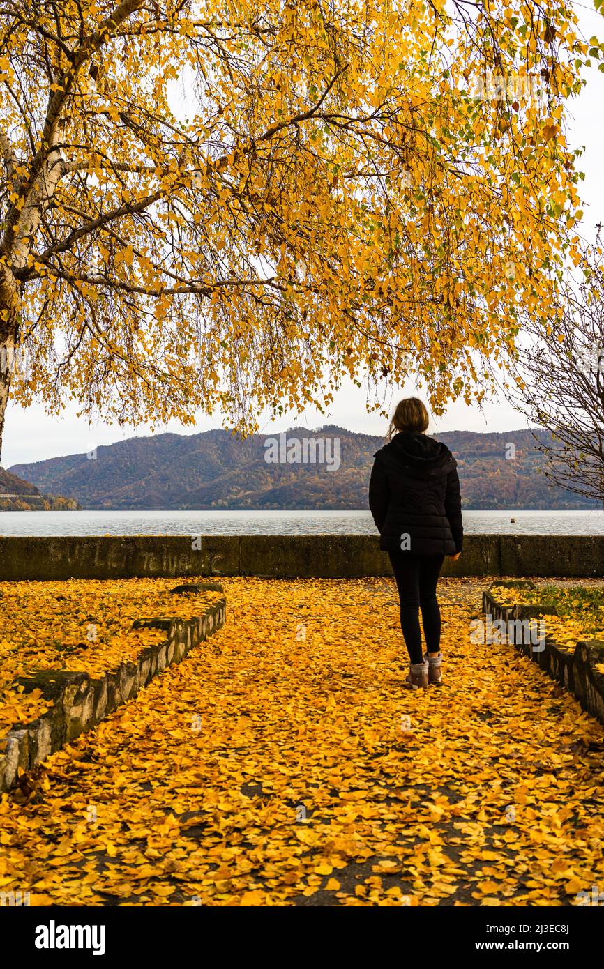 Autumn leaves fallen on alone woman walking on the autumn alley. Autumn ...