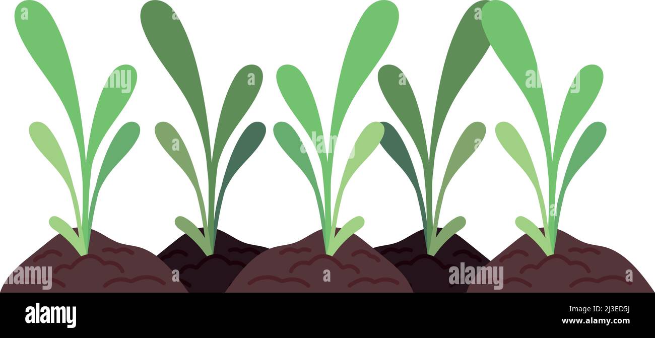 agricultural plants in ground Stock Vector Image & Art - Alamy