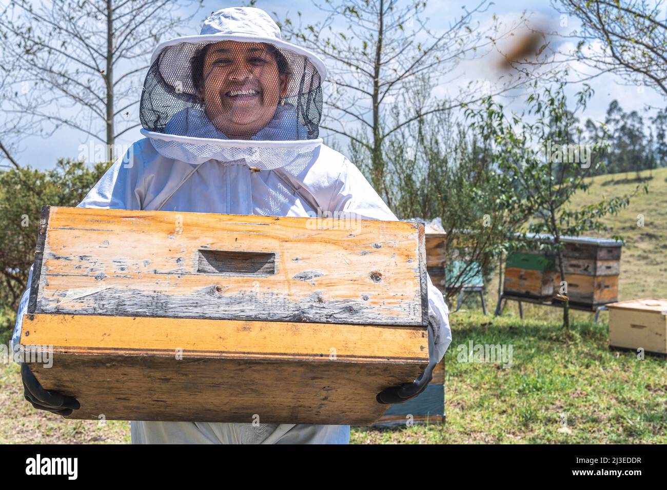 Portrait of a female beekeeper carrying a honeycomb with bees. Honey ...