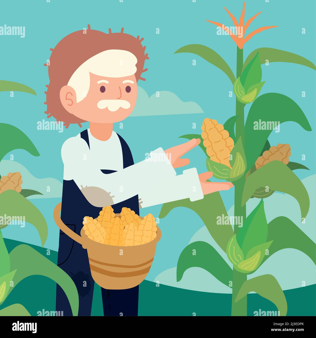 Farmer collecting rural farm Stock Vector Images - Alamy