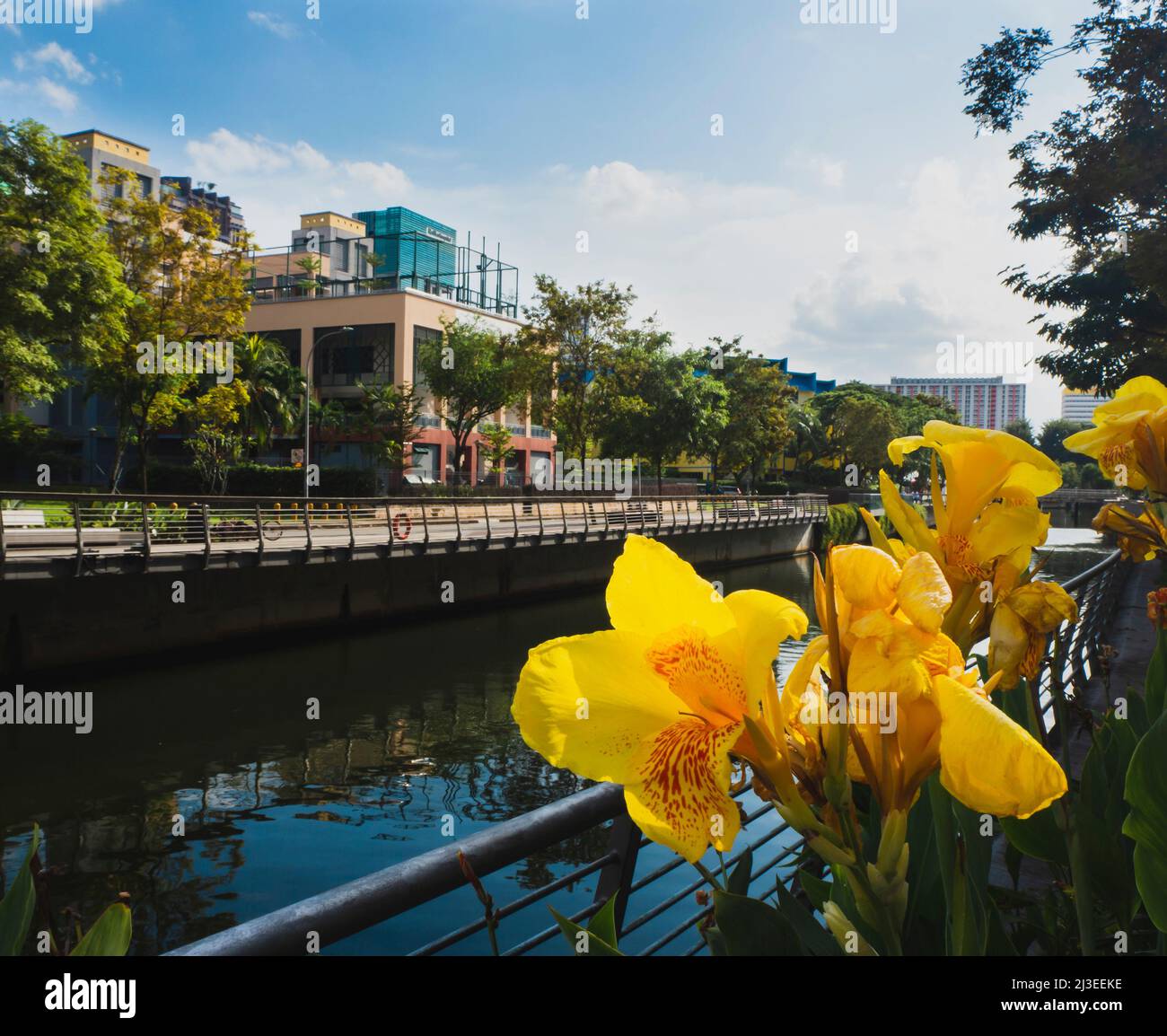 View along the Rochor River in Singapore Stock Photo - Alamy