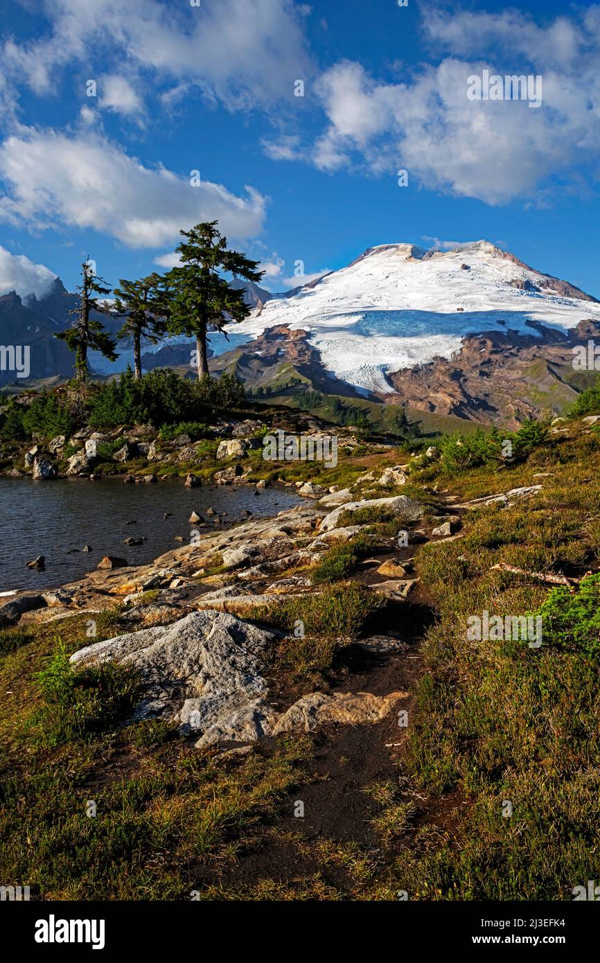 WA21339-00...WASHINGTON - Late afternoon at a small tarn below Park ...