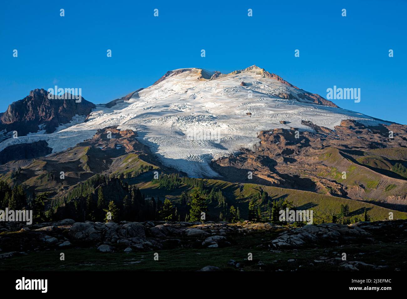 WA21340-00...WASHINGTON - Mount Baker in the late afternoon from the ...